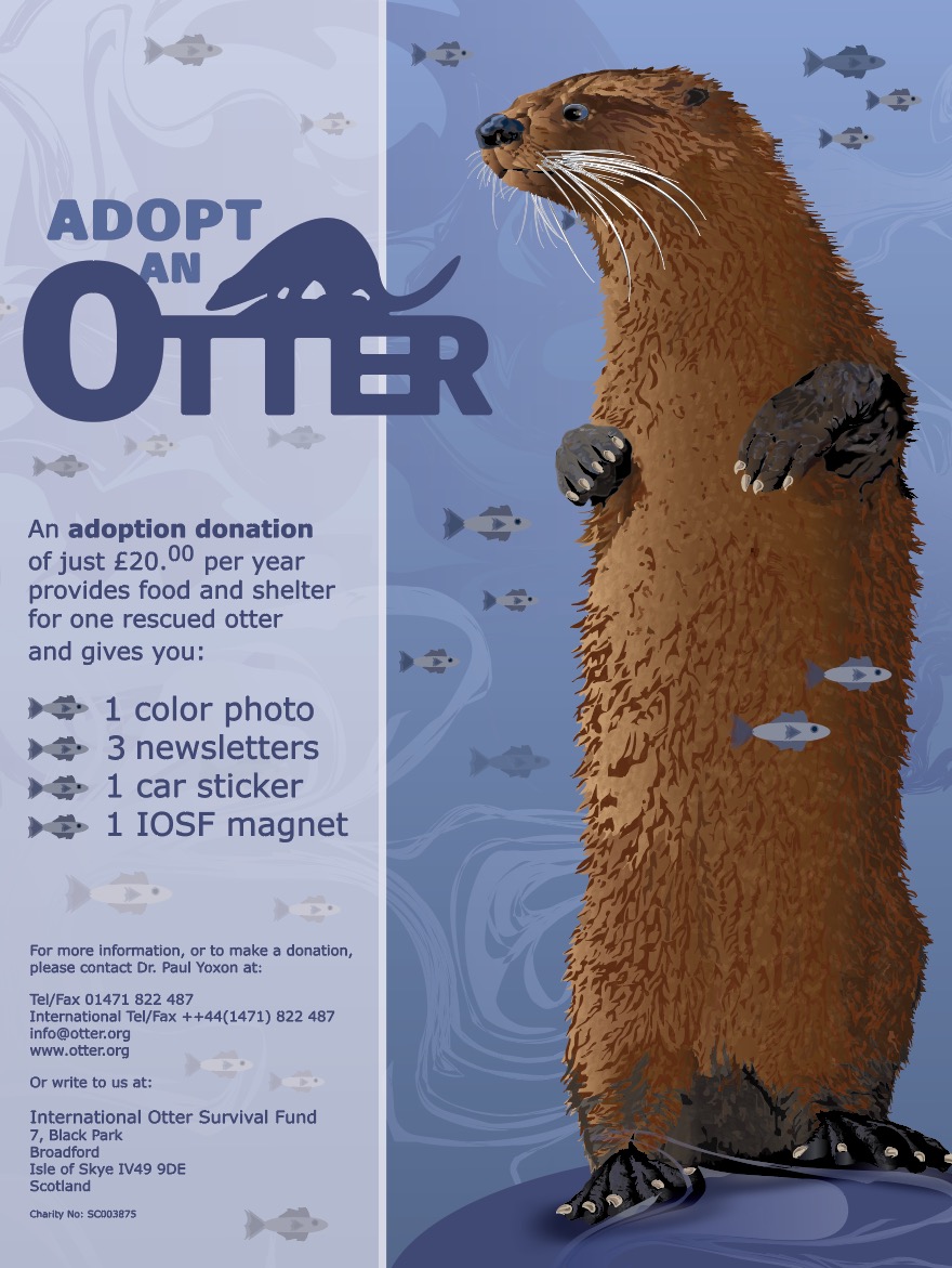 IOSF – Angela Jones Art